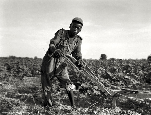 How Franklin Roosevelt Devastated Black Sharecroppers | Power Line