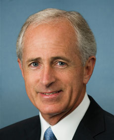 IAEA chief stonewalls Congress | Power Line