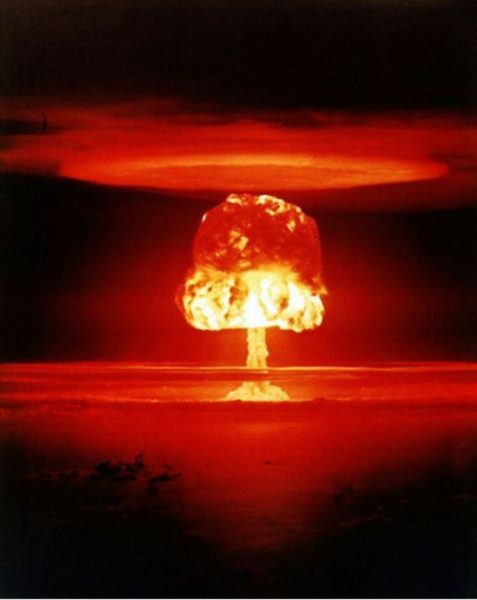 The Week in Pictures: Nuke the Gay Whales for Gorsuch Edition | Power Line