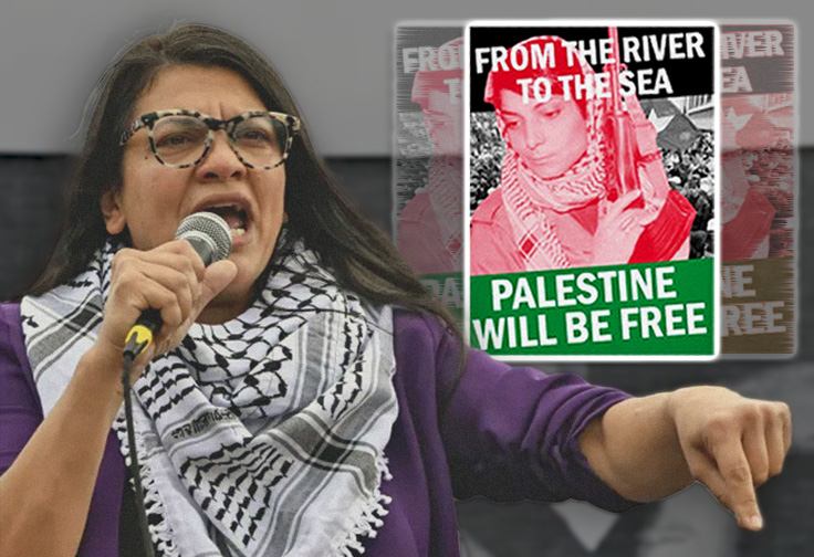 Tlaib tlies | Power Line